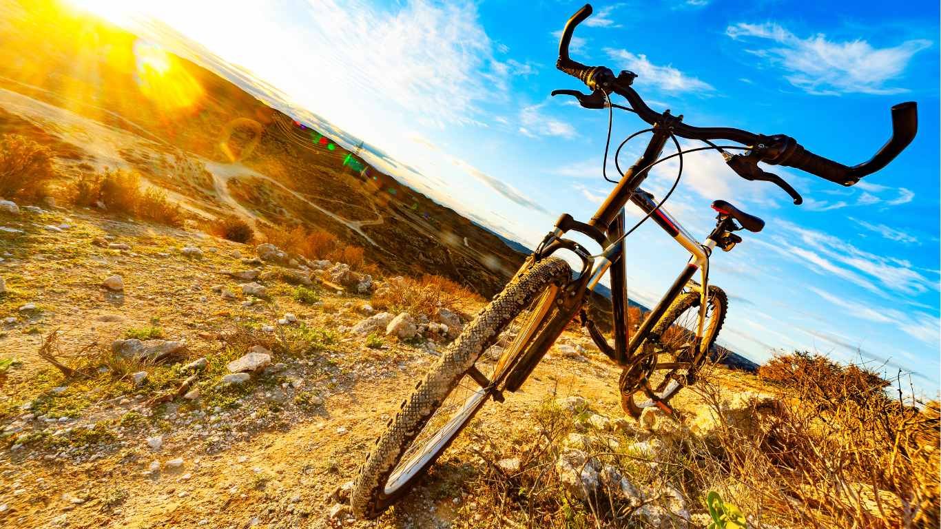 10 Best Types of Mountain Bikes for Every Terrain - Mountain Bike Insider