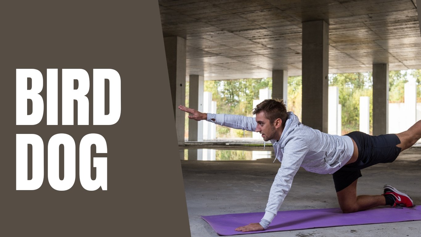 12 Best Strength Training Exercises for Mountain Biking - Mountain Bike ...