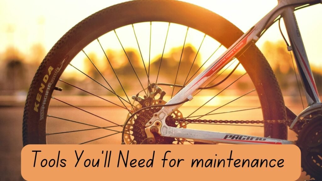 Mountain Bike Chain Maintenance: How to Clean and Lubricate - Mountain ...