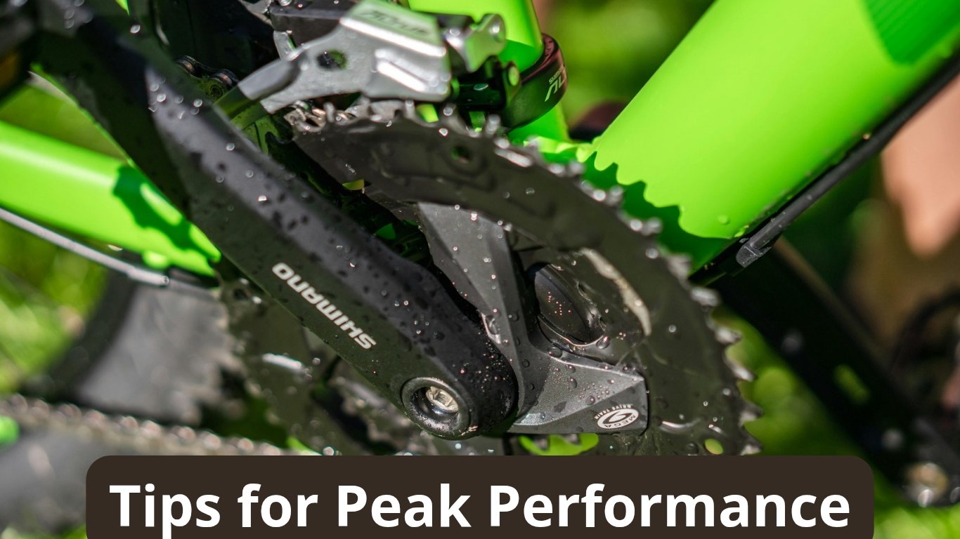 Mountain Bike Chain Maintenance: How to Clean and Lubricate - Mountain ...